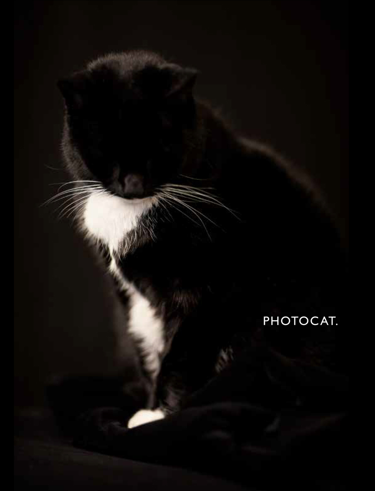 PhotoCat. - Schilt Publishing and Gallery